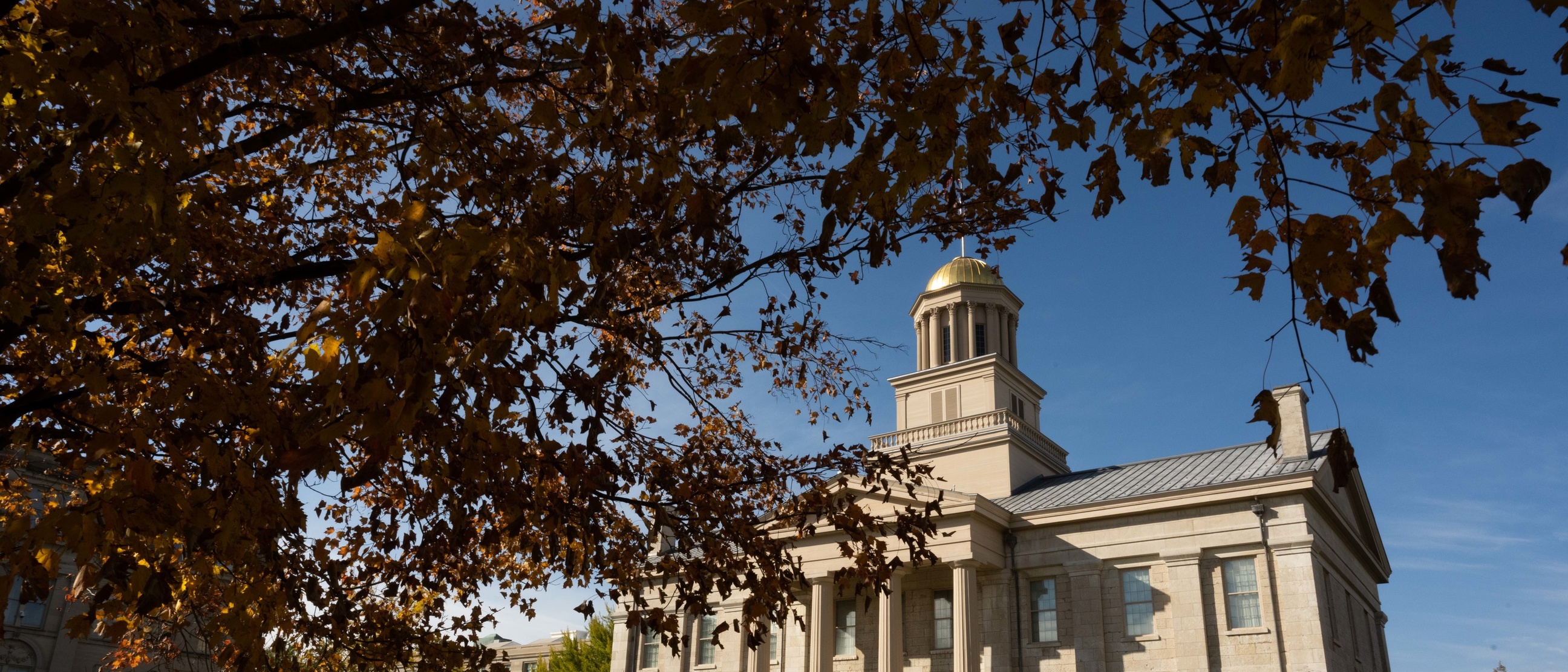 First-Year Seminars | The University of Iowa